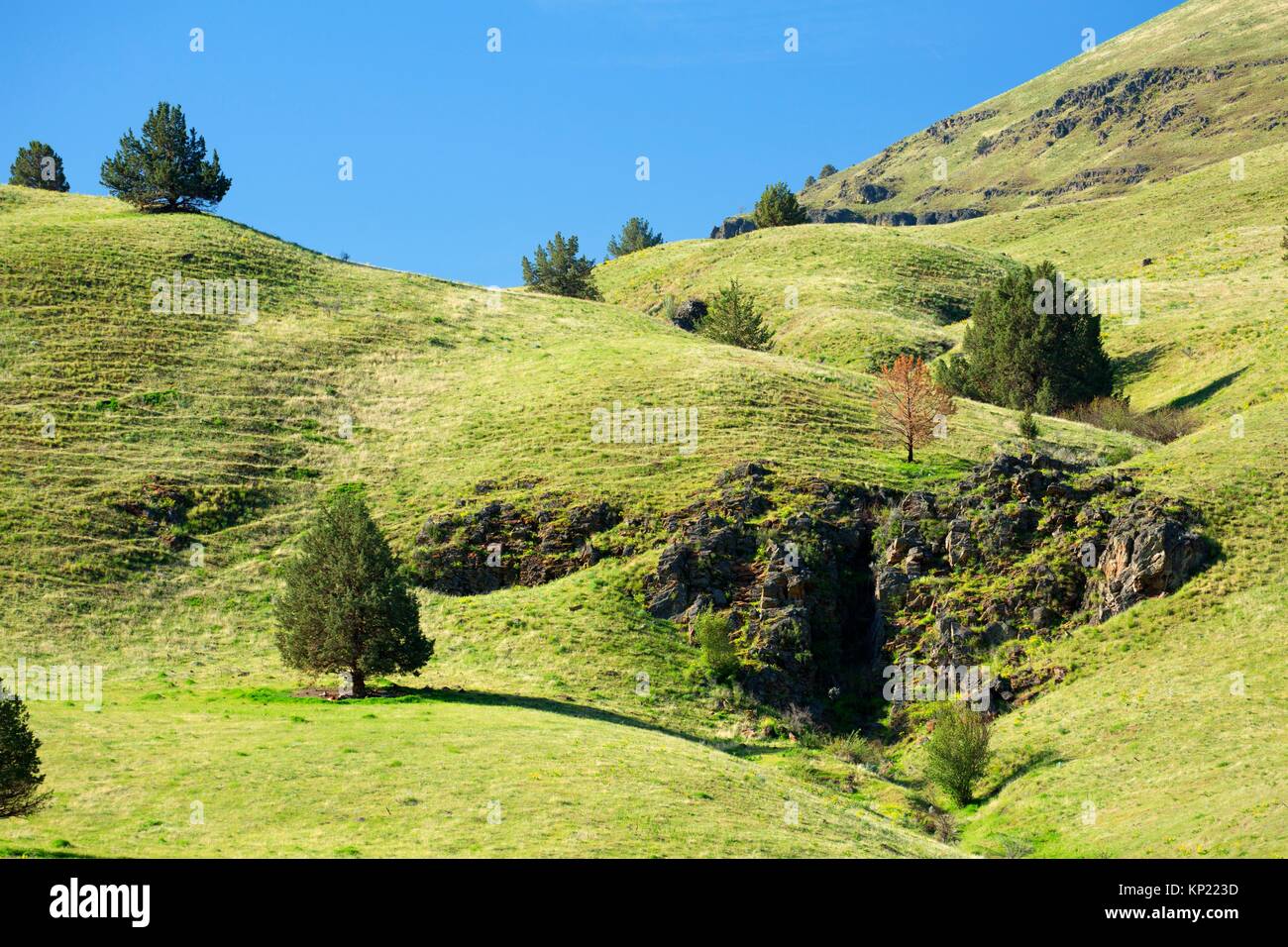 Canyon slope hi-res stock photography and images - Alamy