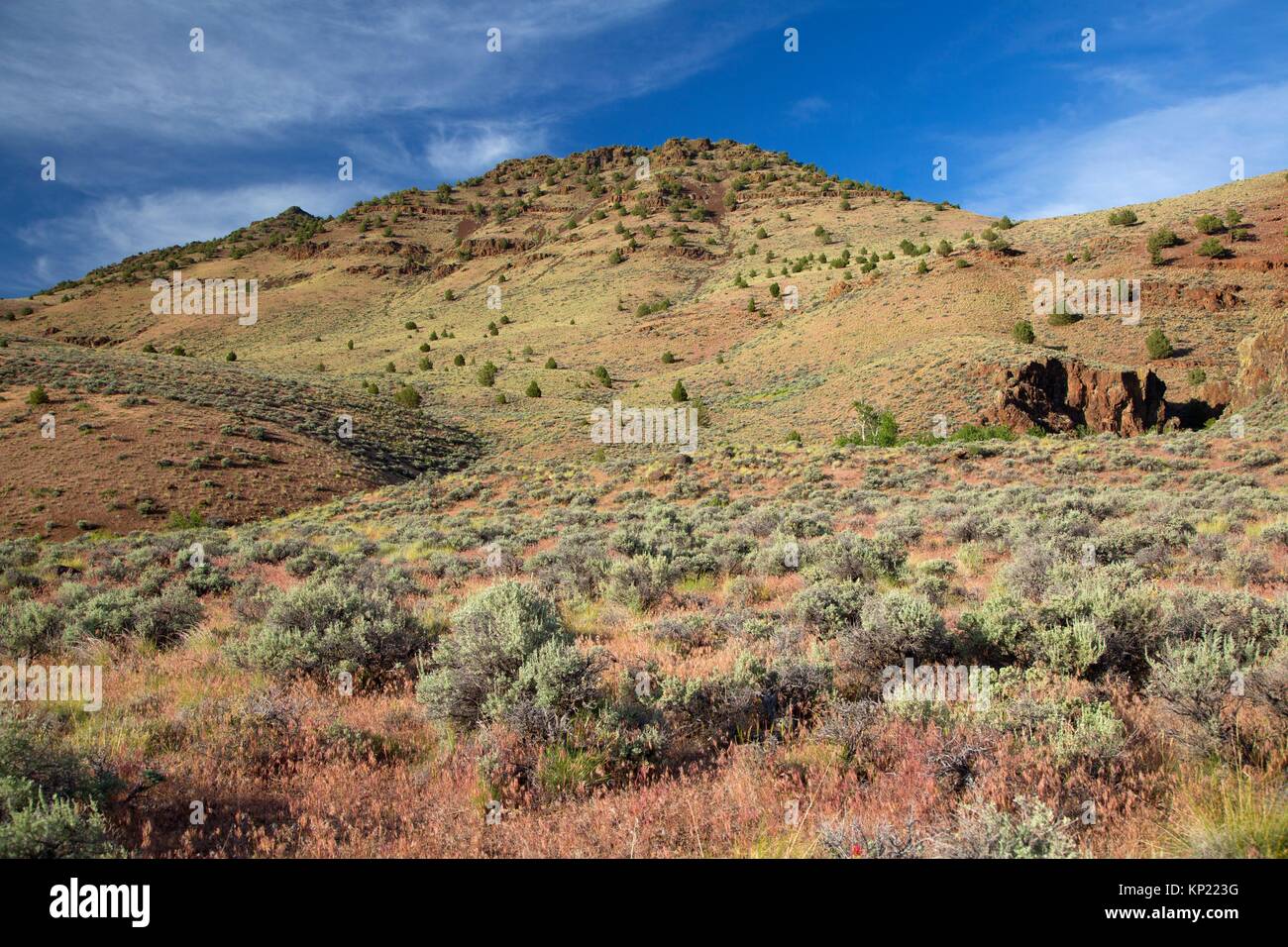 Hart mountain national antelope refuge hi-res stock photography and ...