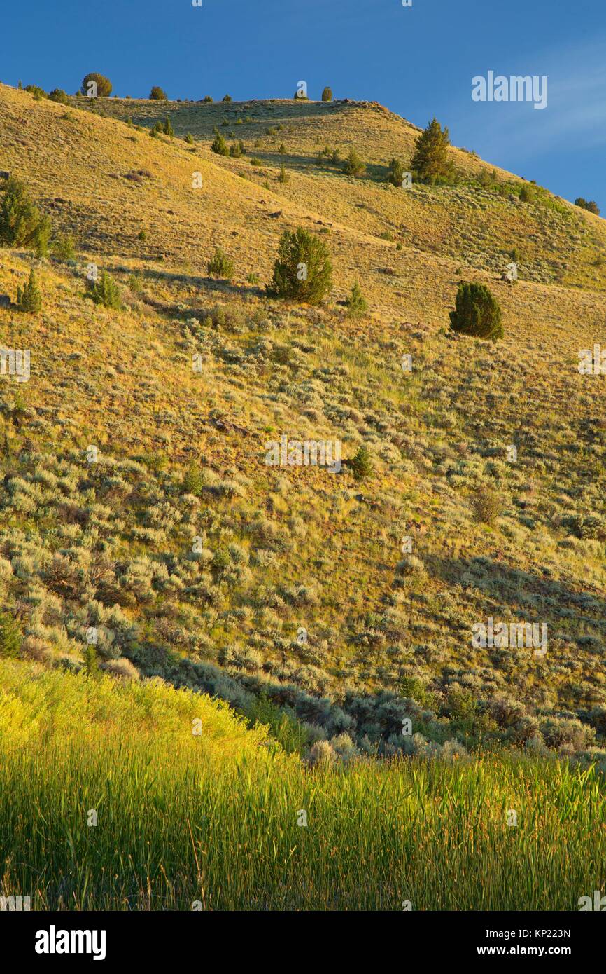 Hart mountain national antelope refuge hi-res stock photography and ...