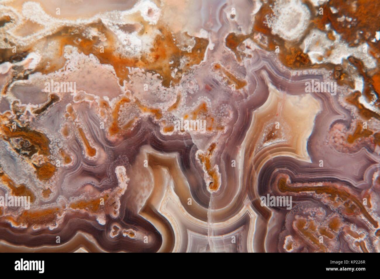 Agate lapidary slab hi-res stock photography and images - Alamy