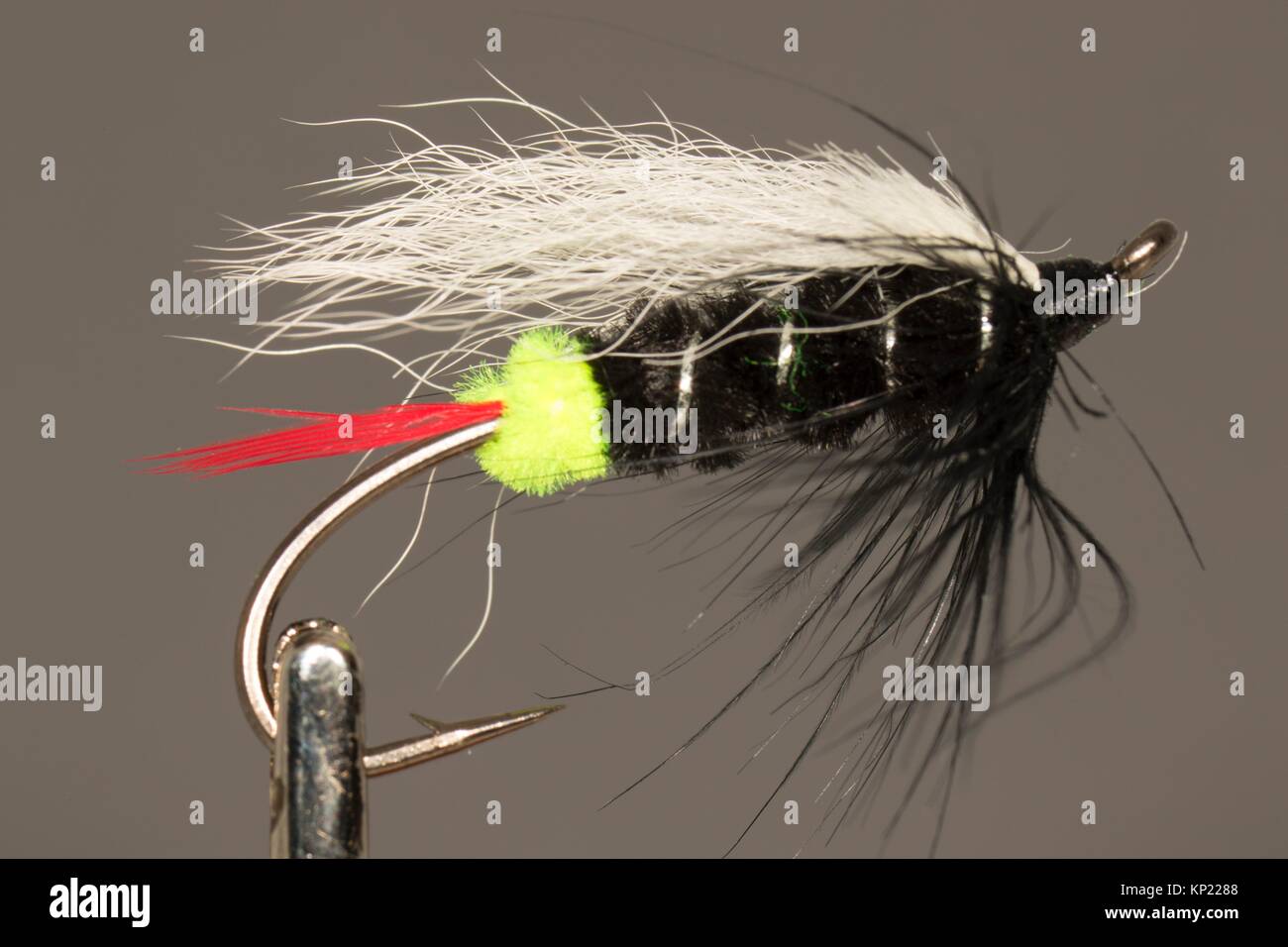 Streamer fly hi-res stock photography and images - Alamy