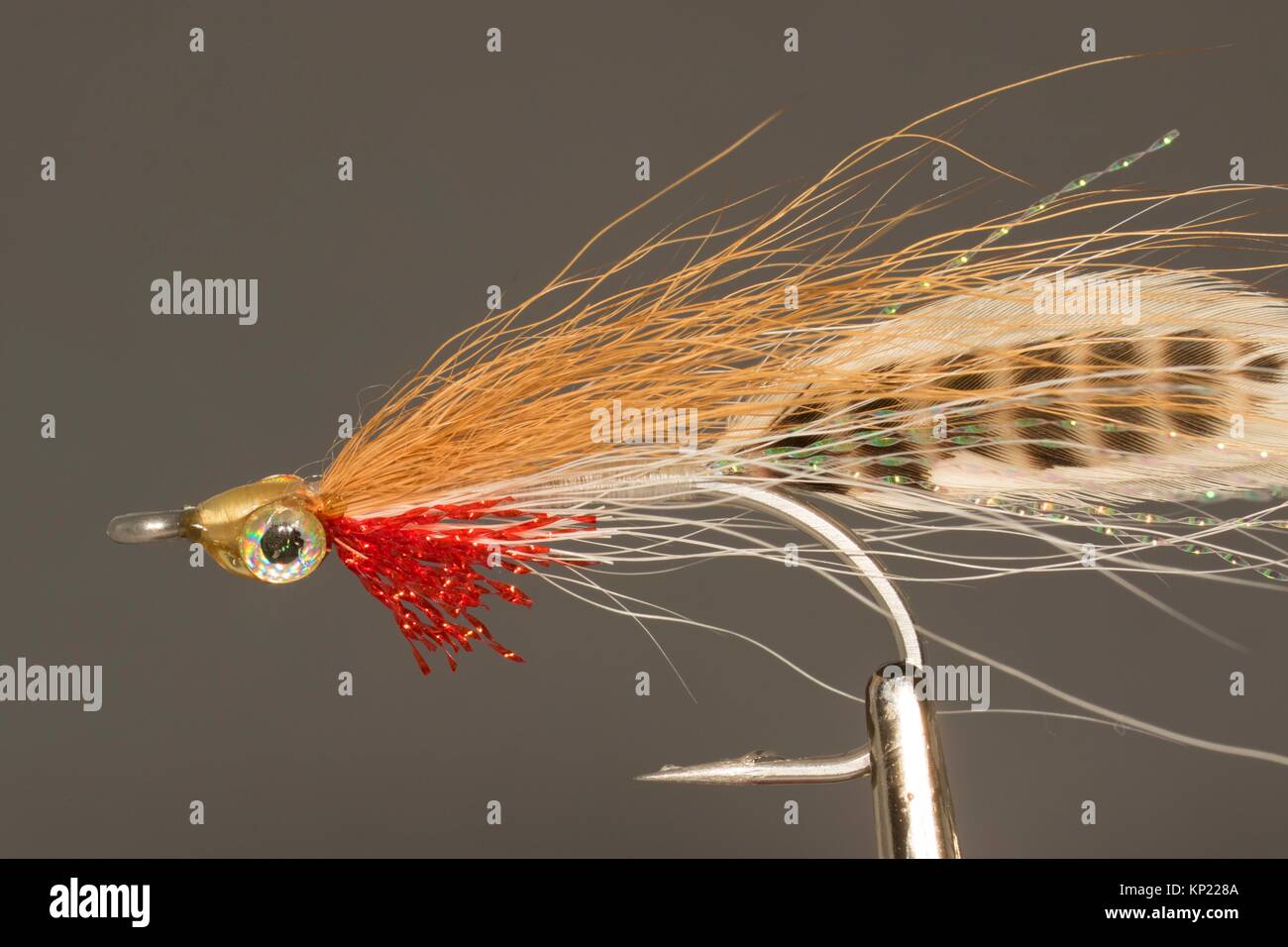 Streamer fly hi-res stock photography and images - Alamy