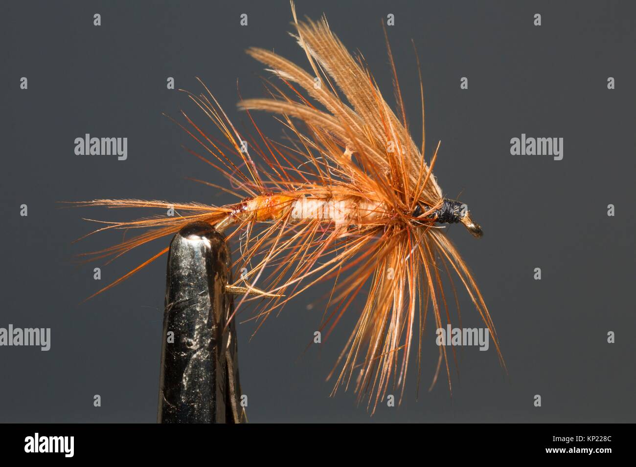 Lure fly fishing hi-res stock photography and images - Alamy