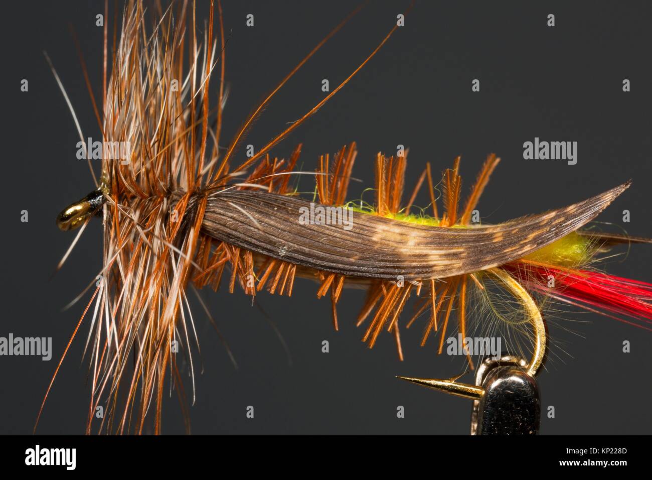 Lure Fly Fishing High Resolution Stock Photography and Images - Alamy