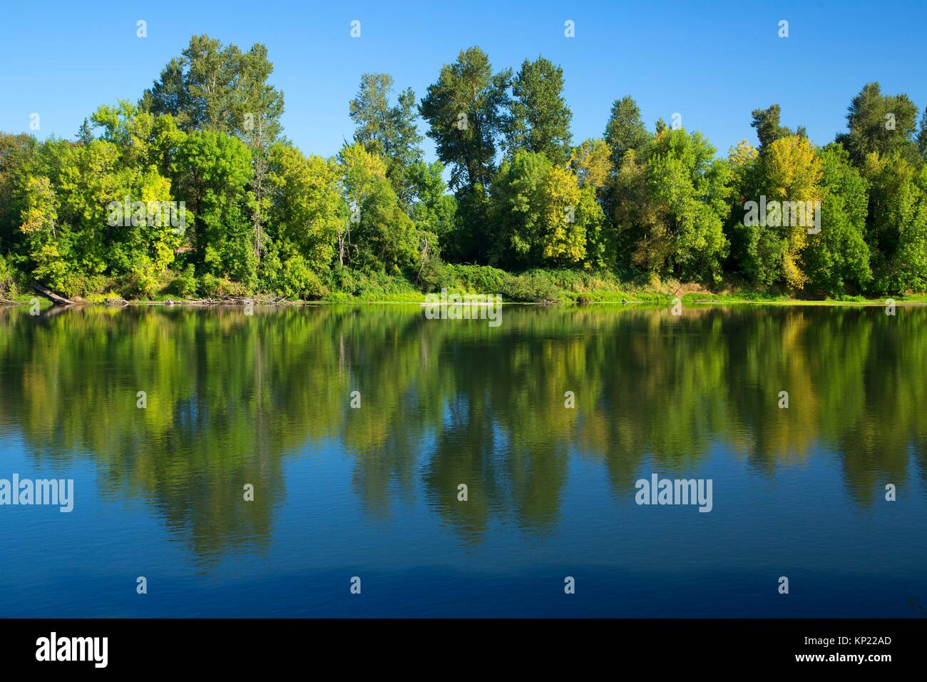 Willamette Mission State Park High Resolution Stock Photography and ...