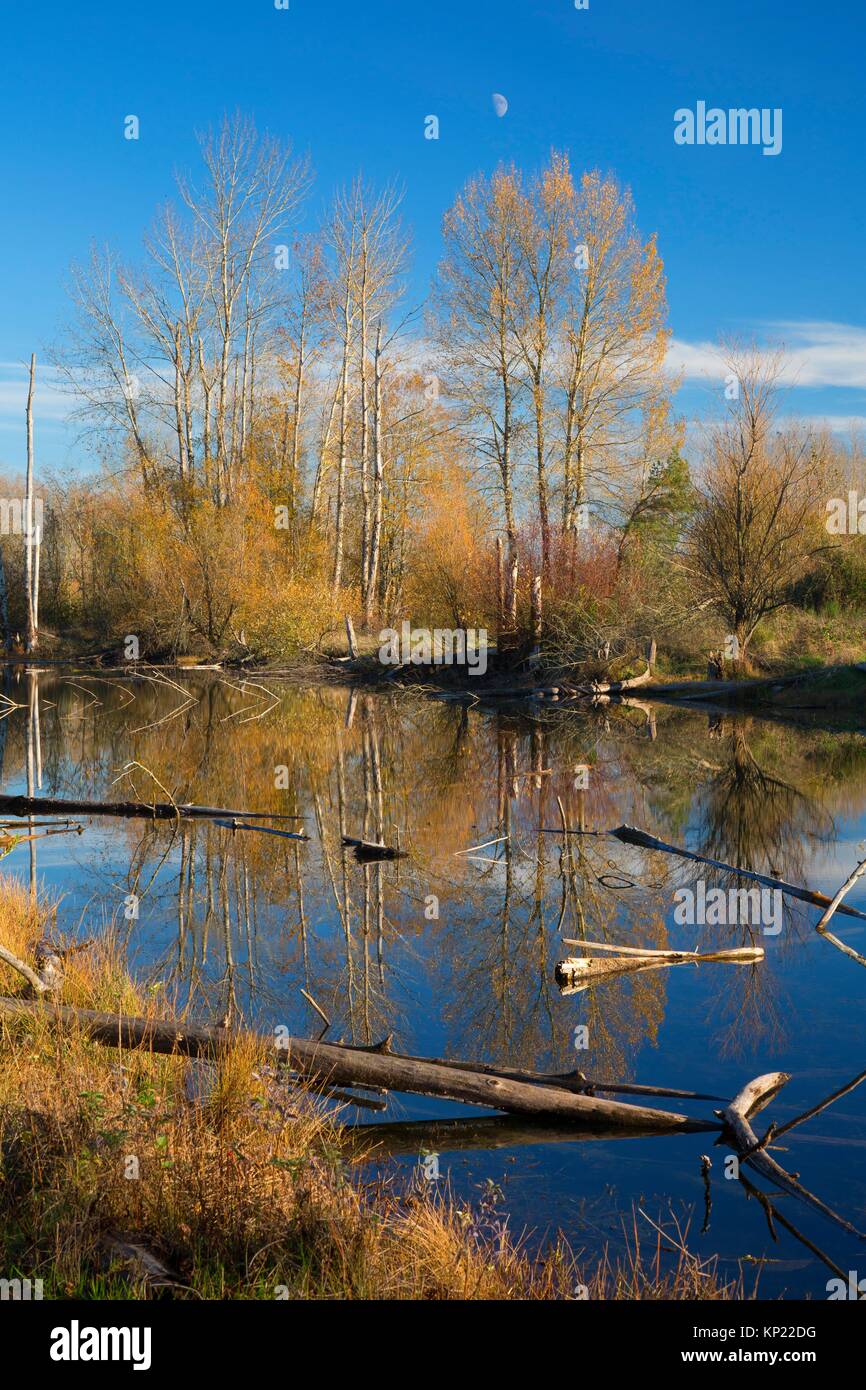 Saint louis county hi-res stock photography and images - Alamy