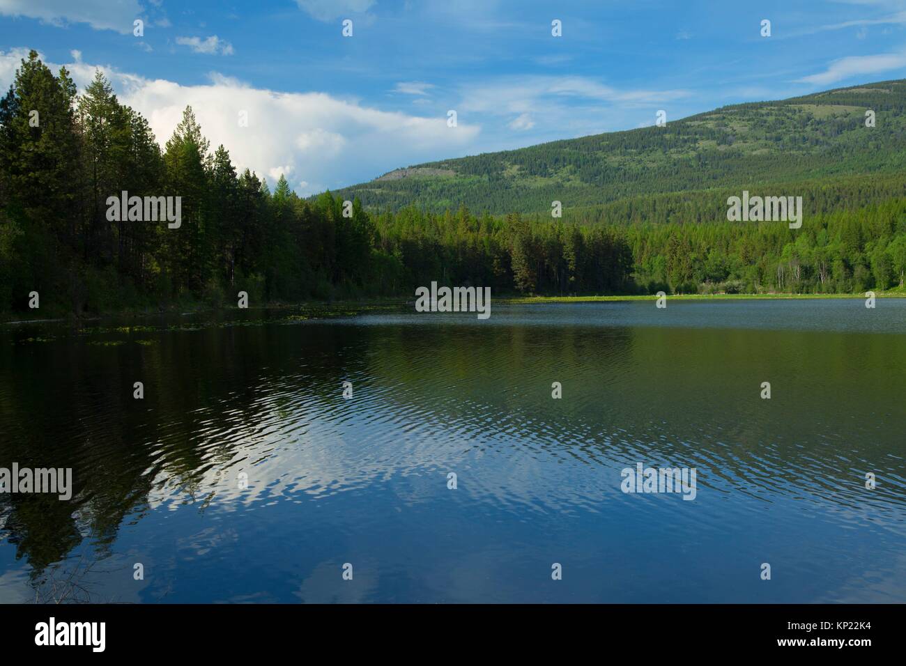 Brush lake idaho hi-res stock photography and images - Alamy