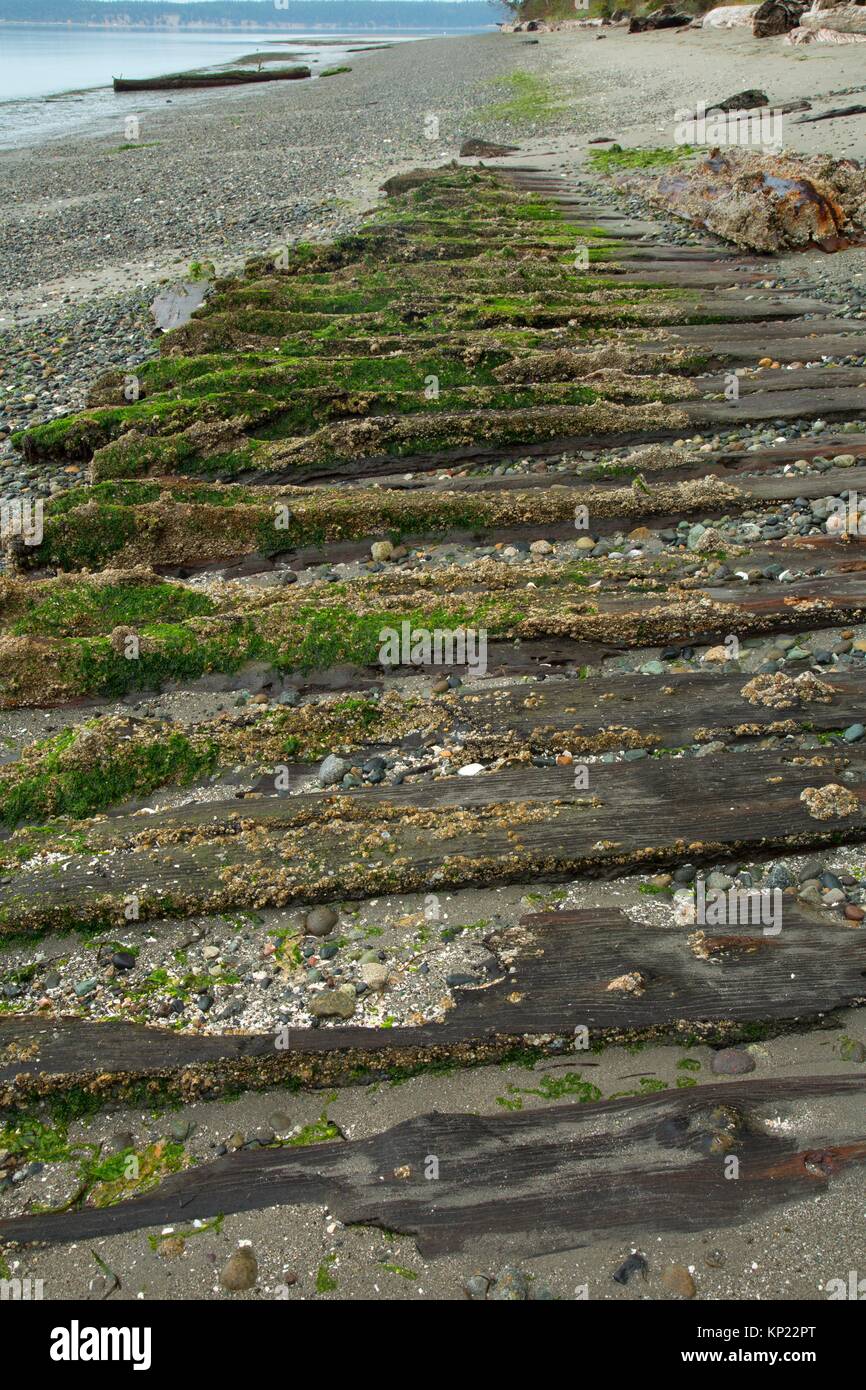 Plank road hi-res stock photography and images - Alamy