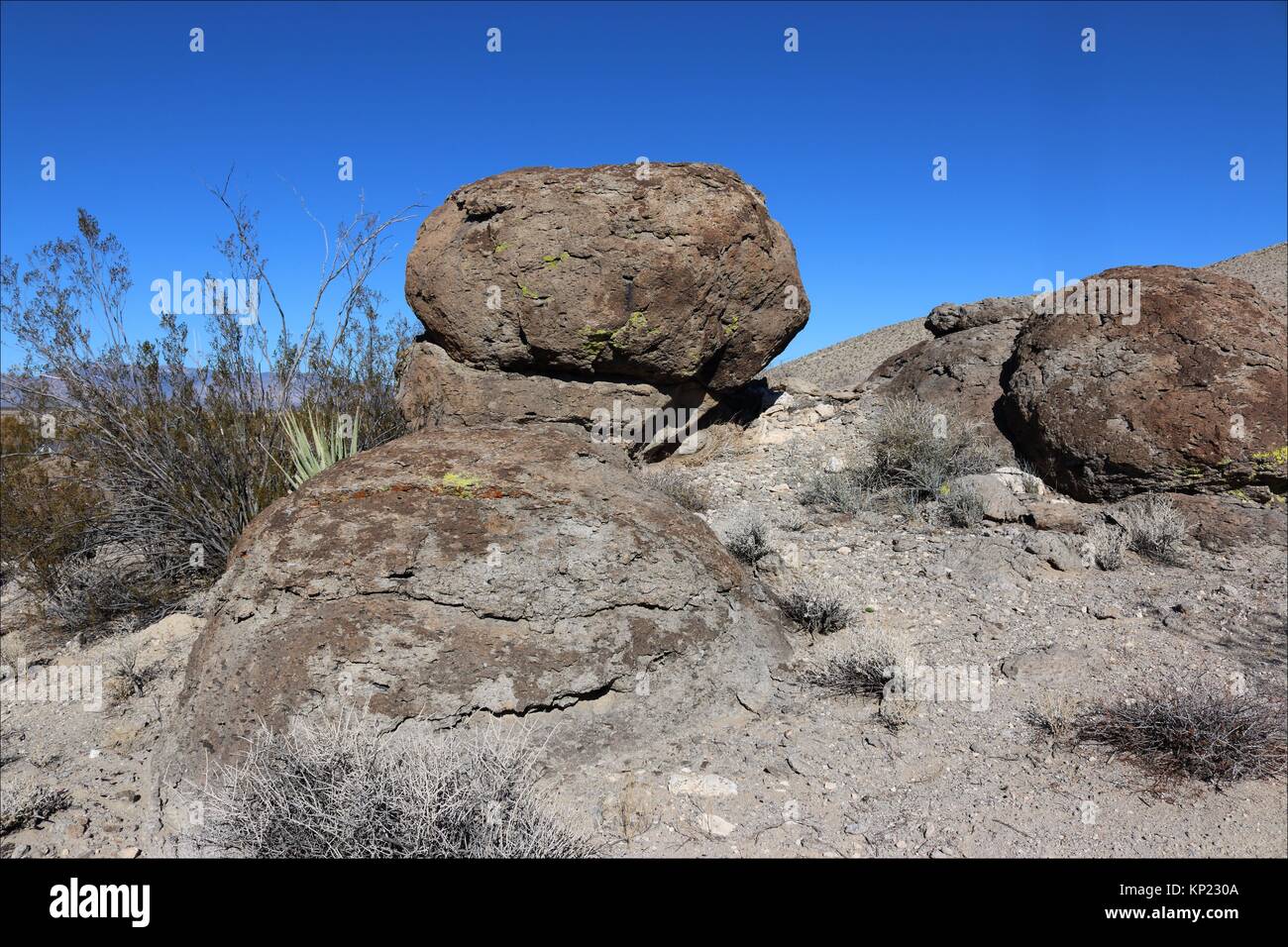 Ash springs nevada hi-res stock photography and images - Alamy