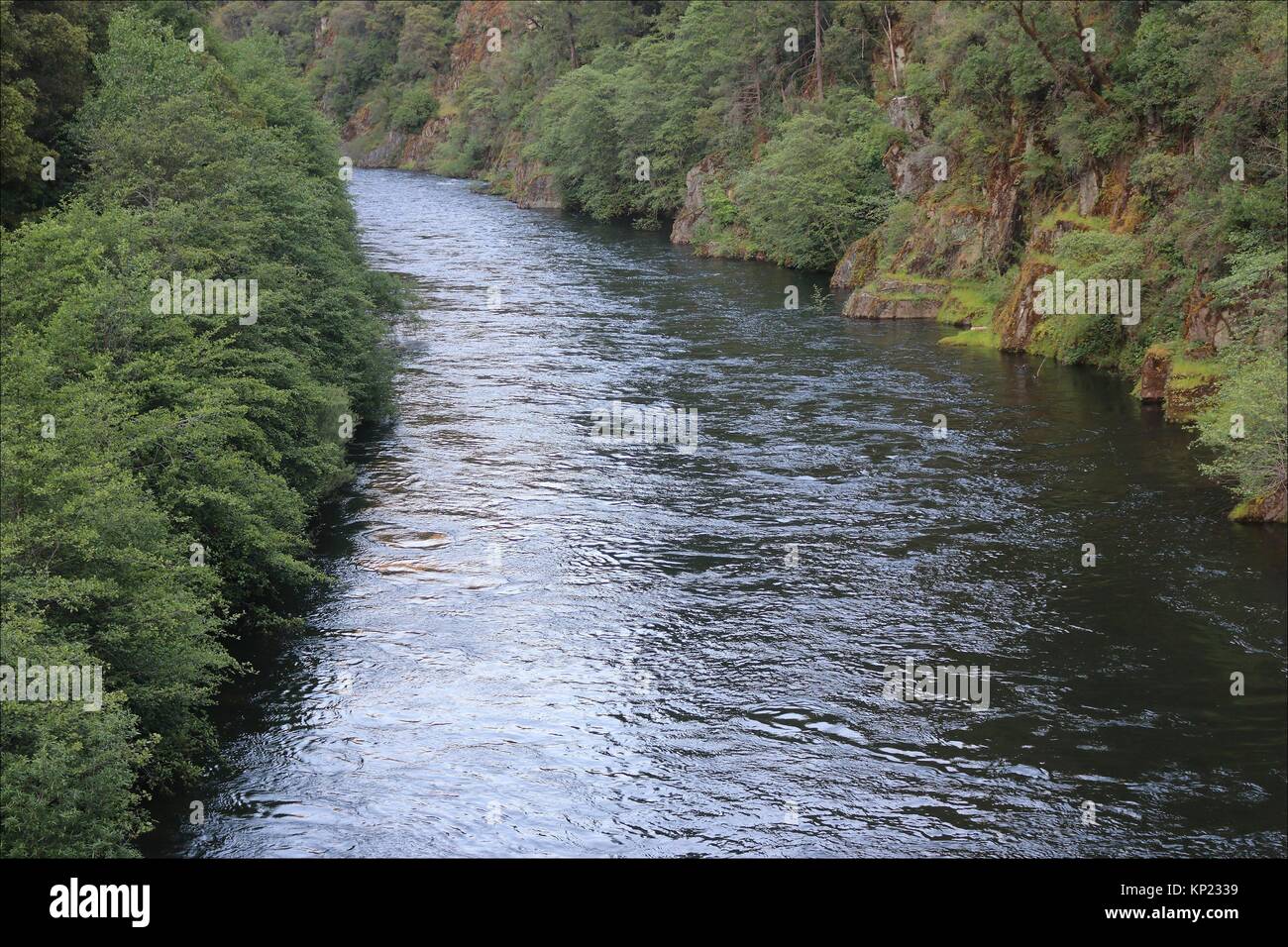 Pollock pines hi-res stock photography and images - Alamy