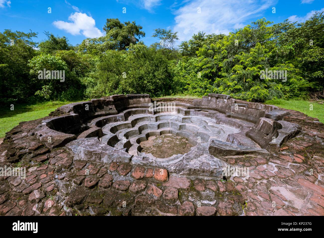 Nelum hi-res stock photography and images - Alamy