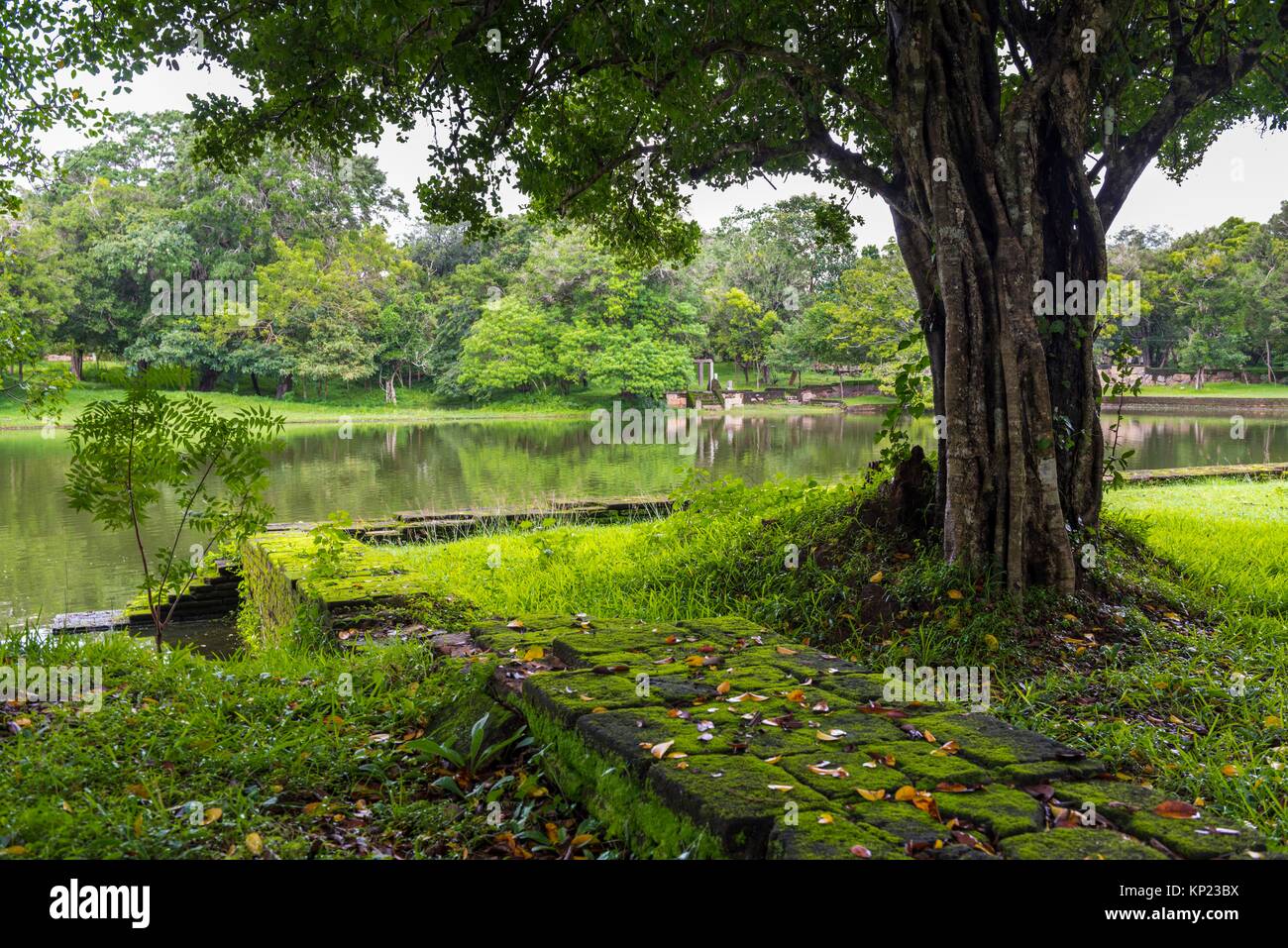 Eth Pokuna, Elephant Pond at Abayagiri Monastery, Sacred City of ...