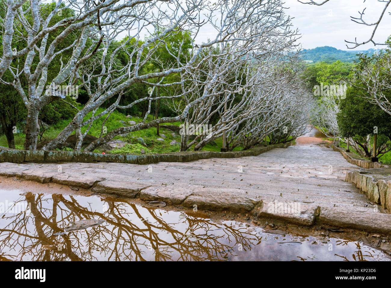 Shrine steps structure temple monastery religious buddhism shrine hi ...