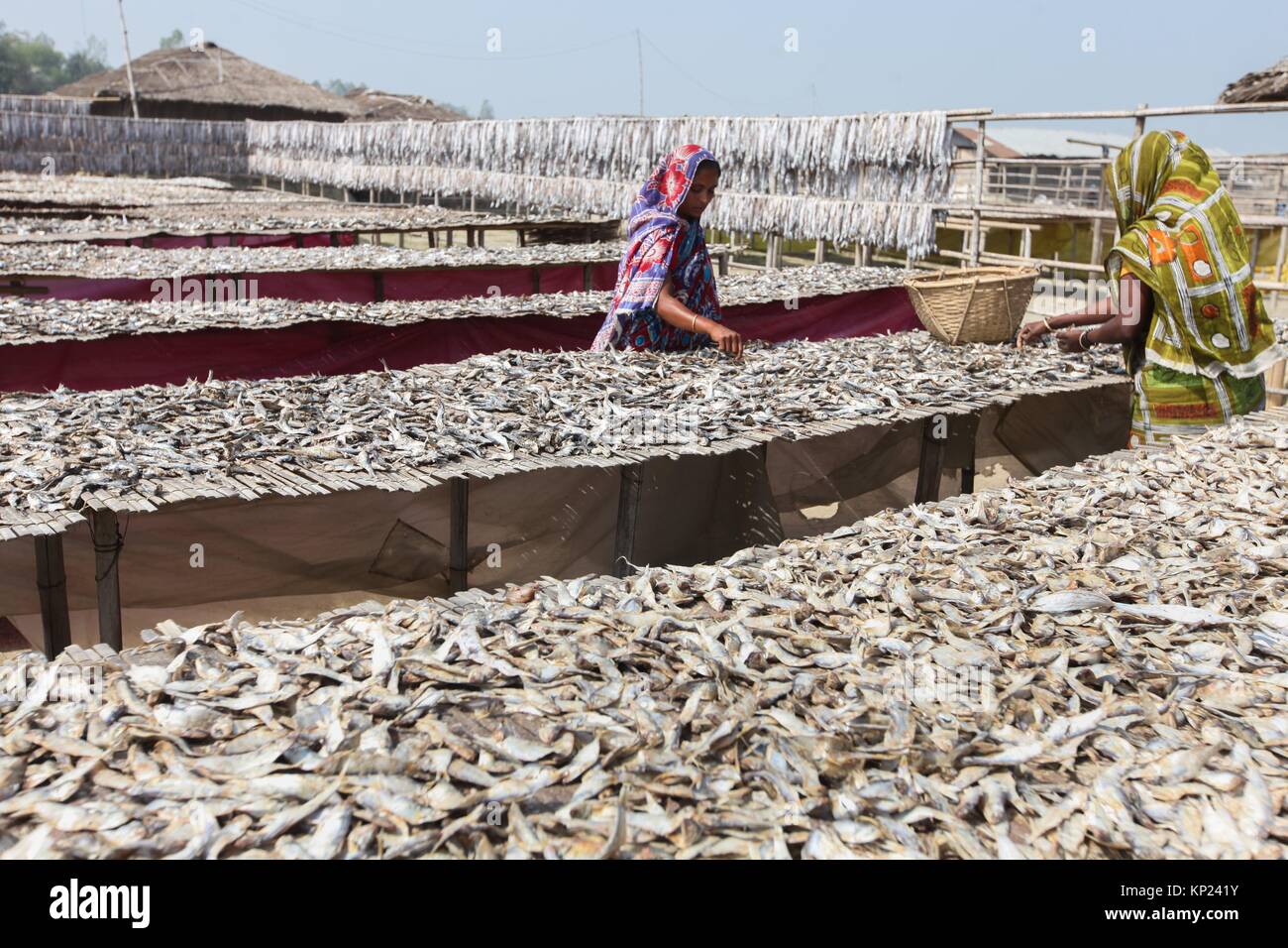 Dry Fish Market In Bangladesh High Resolution Stock Photography and ...