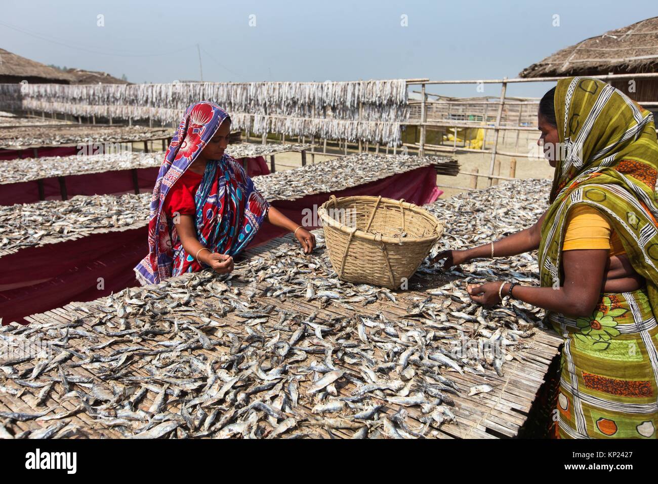 Dried Fish Product In Bangladesh at Ralph Scott blog