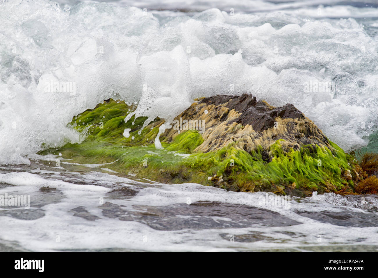 Storm surges of the sea washed the rocky beach with views of the ...