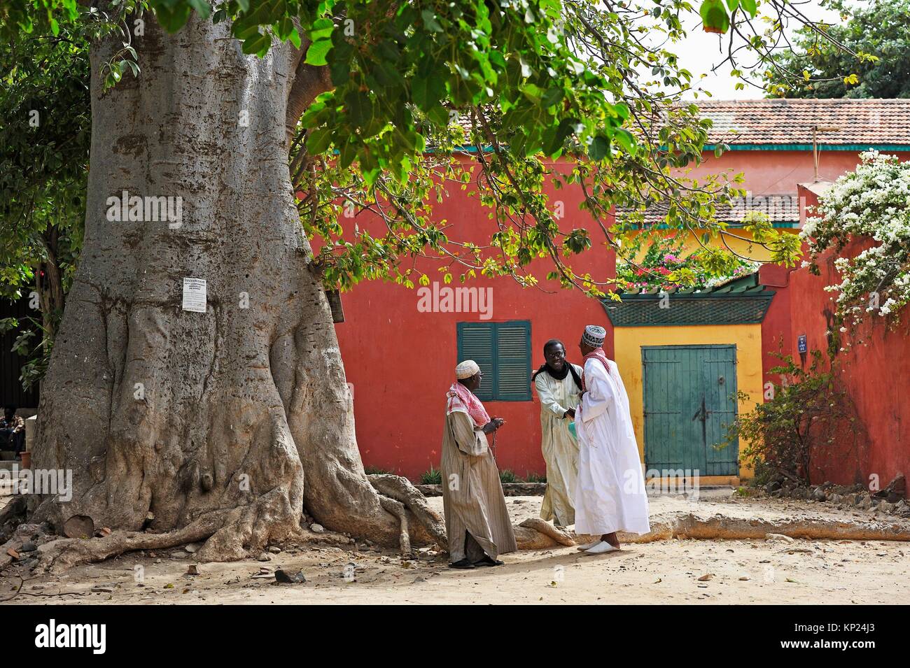 Baobab Tree Senegal High Resolution Stock Photography and Images - Alamy