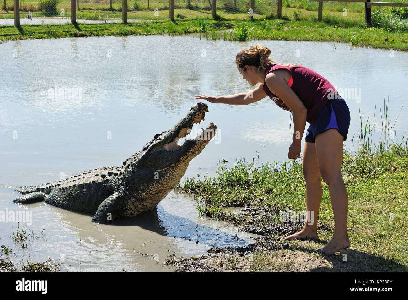 Gator girl hi-res stock photography and images - Alamy