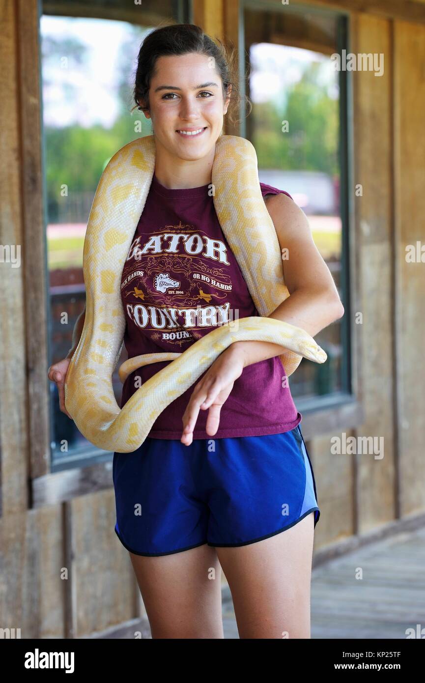 Burmese python alligator hi-res stock photography and images - Alamy
