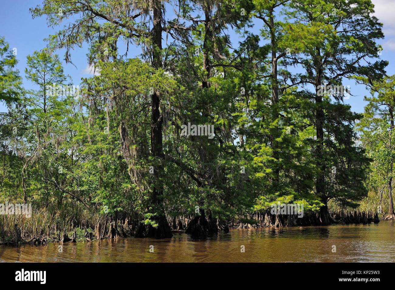 Neches River High Resolution Stock Photography and Images - Alamy