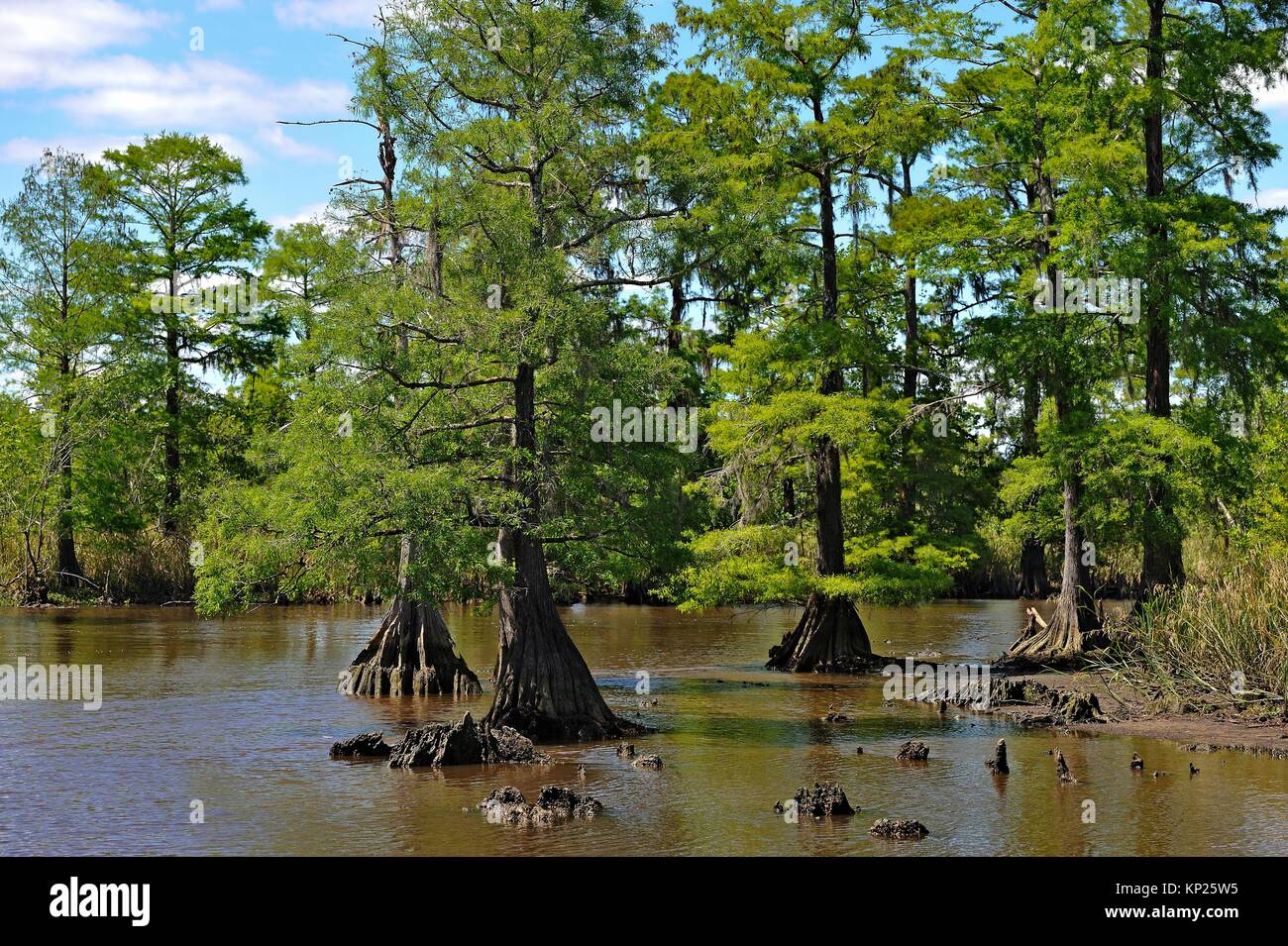 Neches river hi-res stock photography and images - Alamy