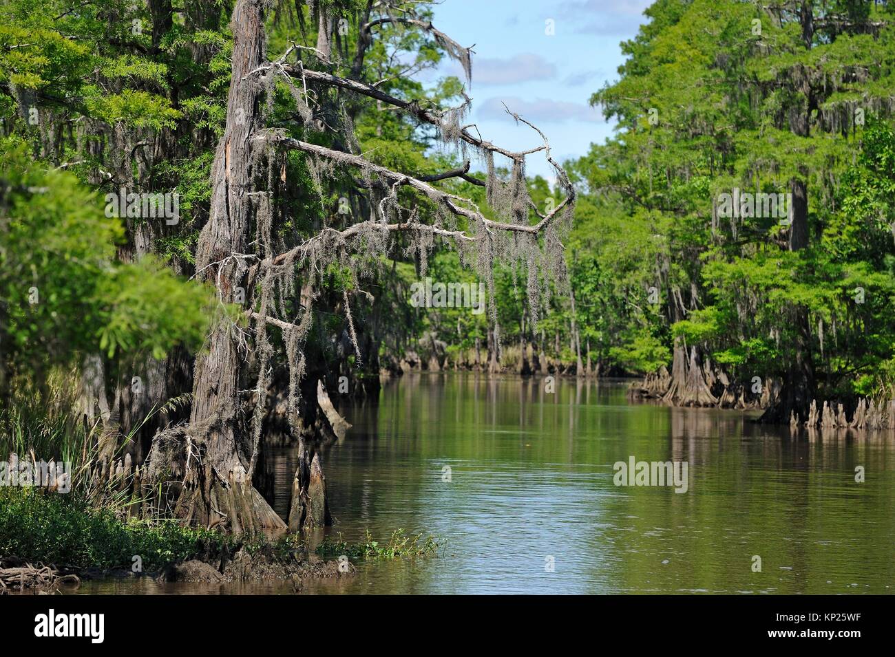 Neches River High Resolution Stock Photography and Images - Alamy