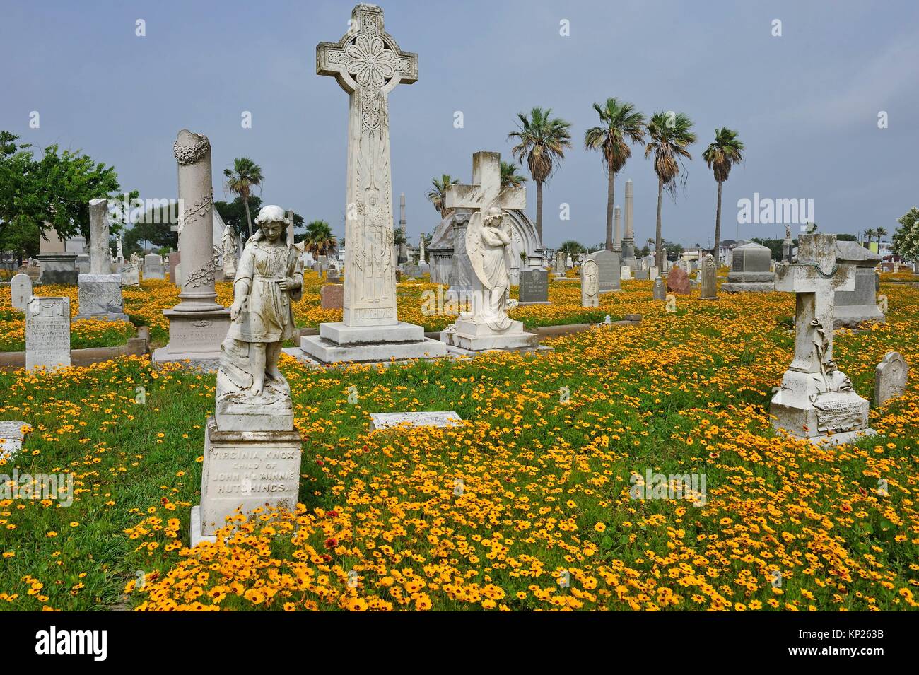 Cemetery mexico city hi-res stock photography and images - Alamy