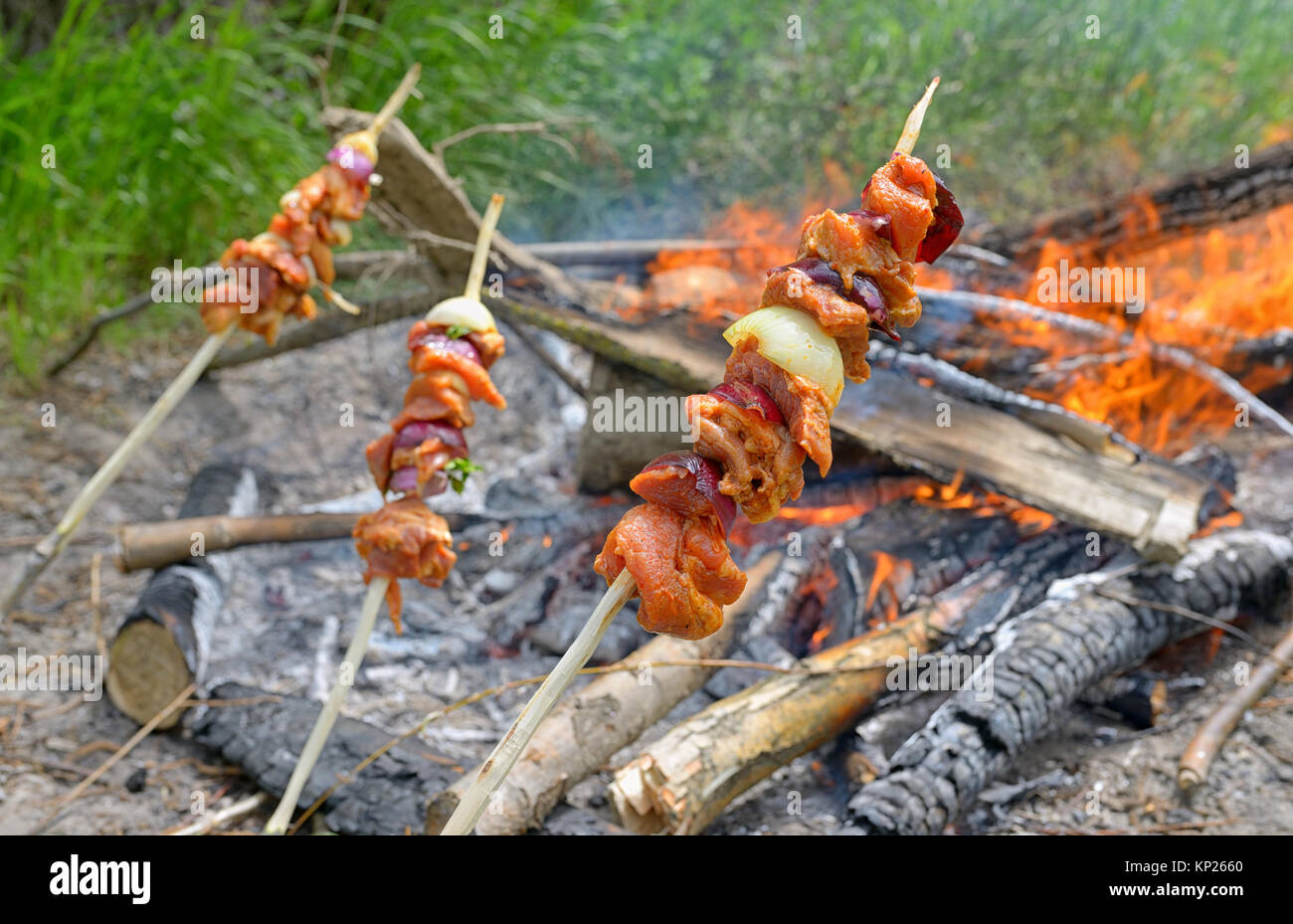 Barbecue sticks above the campfire in forest Stock Photo - Alamy
