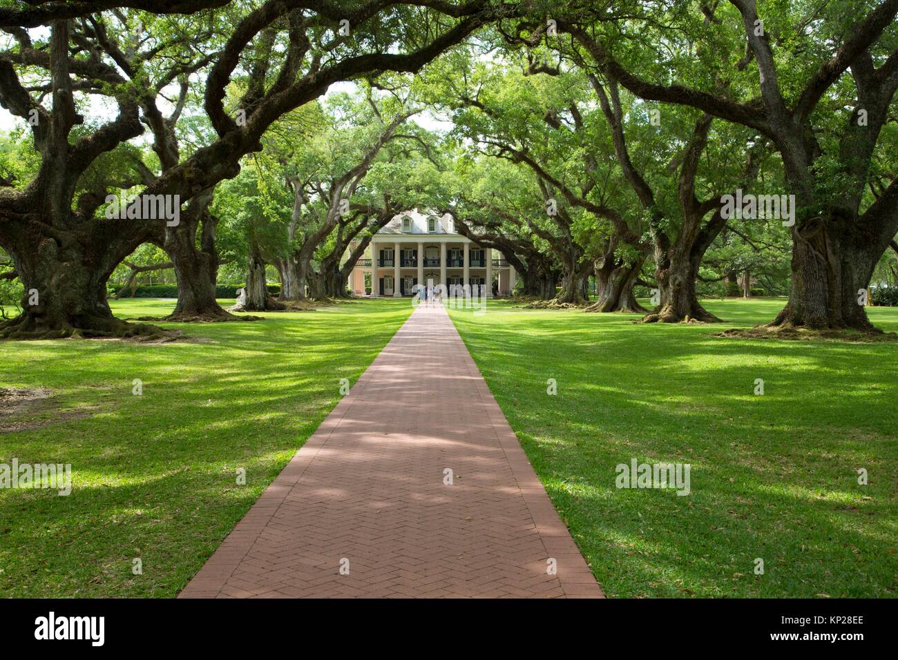 Oak alley plantation house High Resolution Stock Photography and Images ...