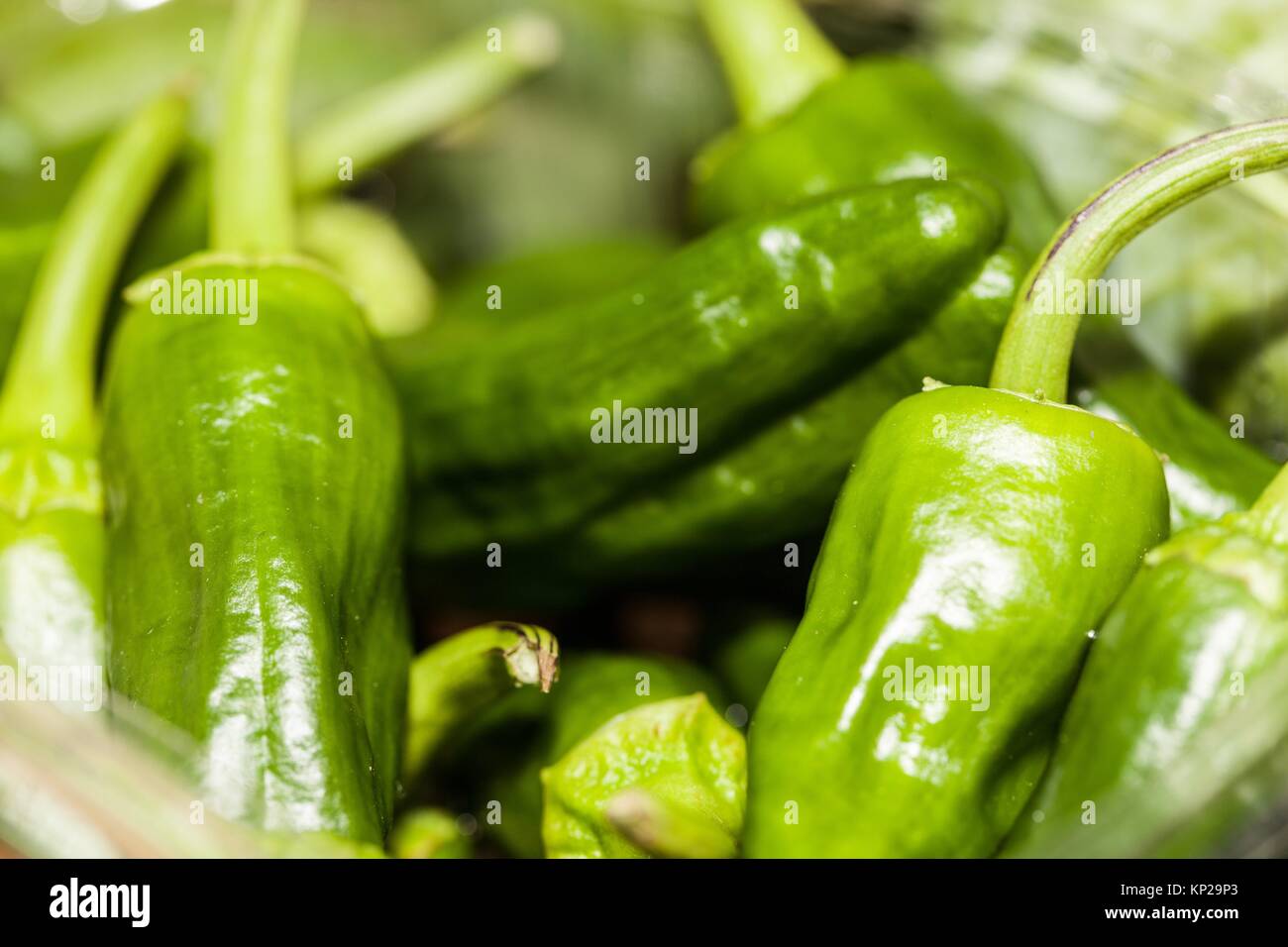 raw green peppers Stock Photo - Alamy