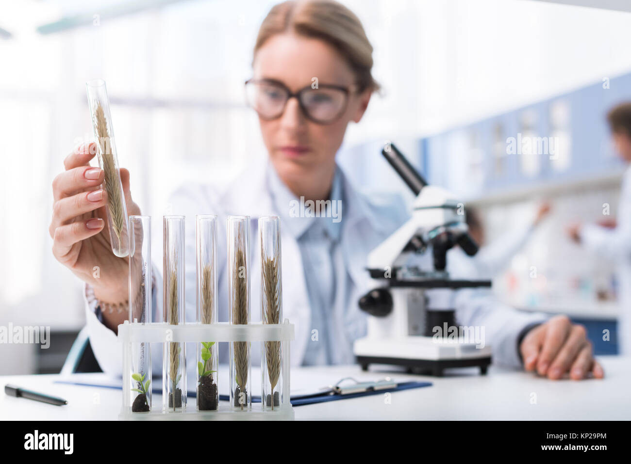 Scientist examining test tube Stock Photo - Alamy