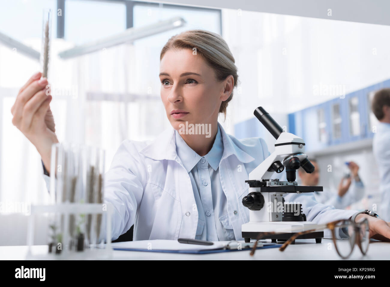 Scientist examining test tube Stock Photo - Alamy