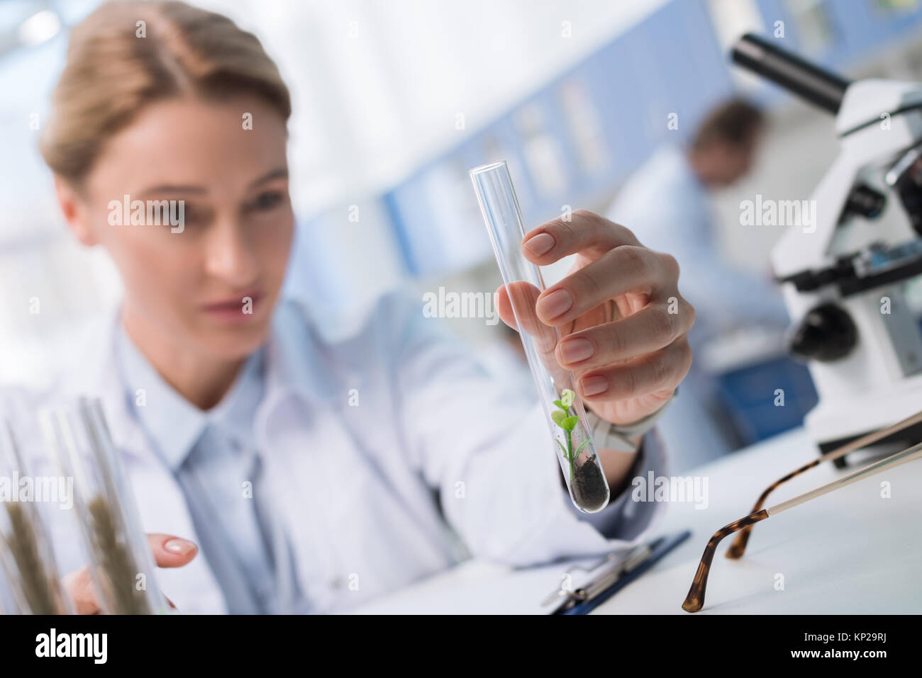 Scientist examining test tube Stock Photo - Alamy