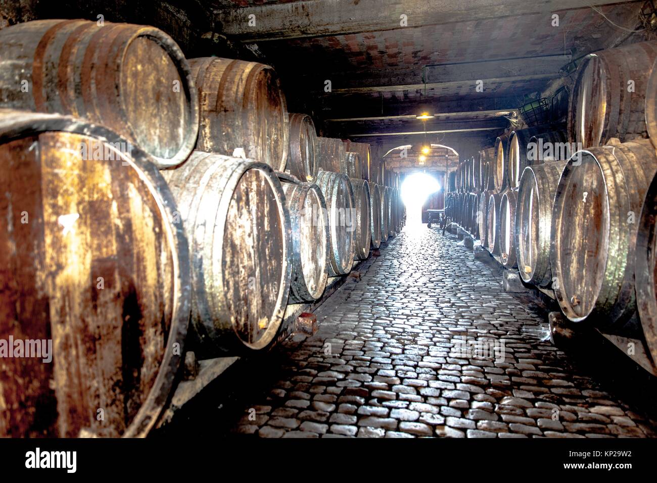 Inside wooden barrel hi-res stock photography and images - Alamy