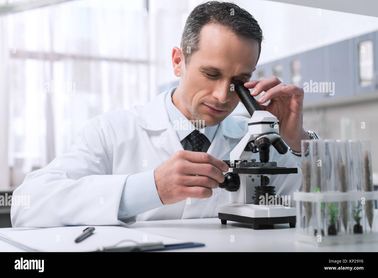 Scientist working with microscope Stock Photo - Alamy