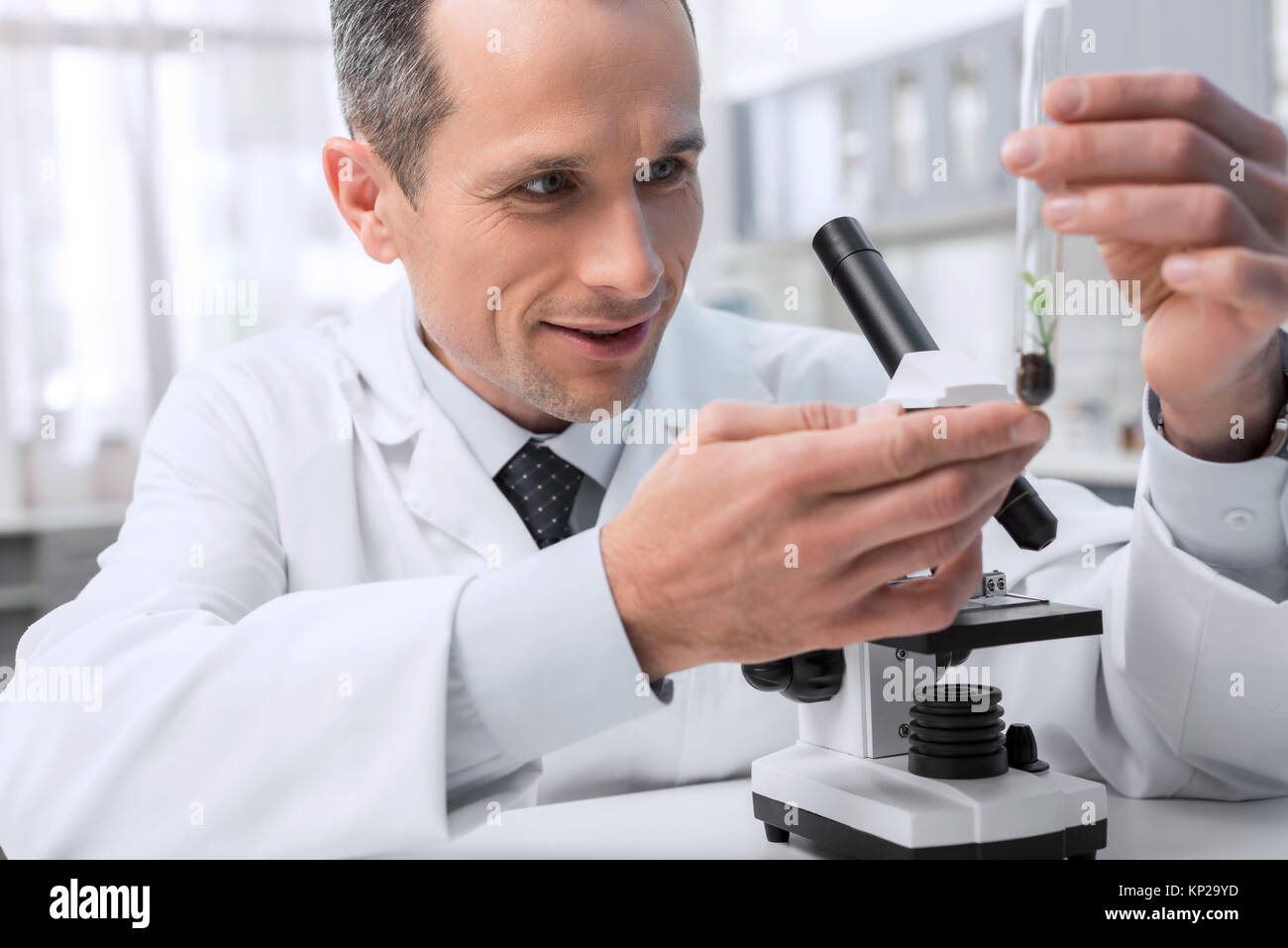 Work sample hi-res stock photography and images - Alamy