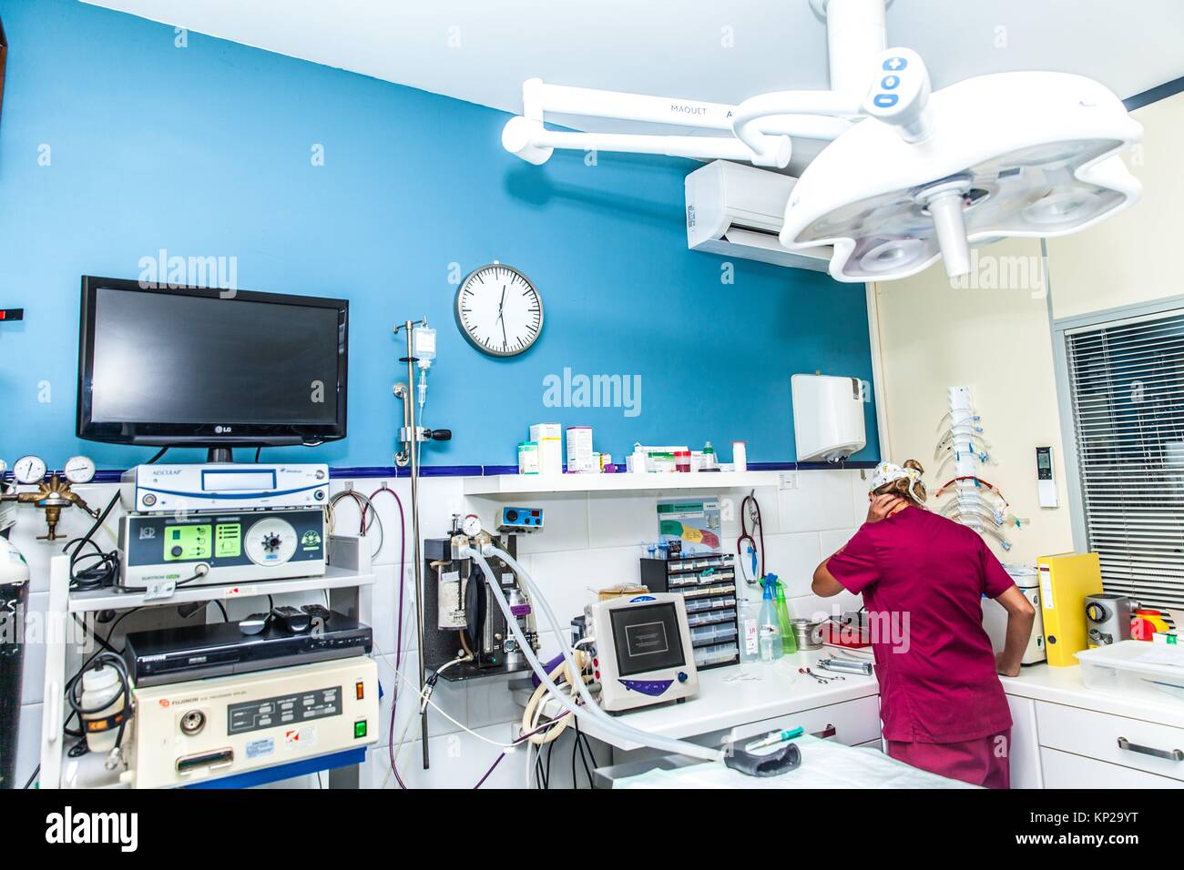 Vet healthcare hi-res stock photography and images - Alamy