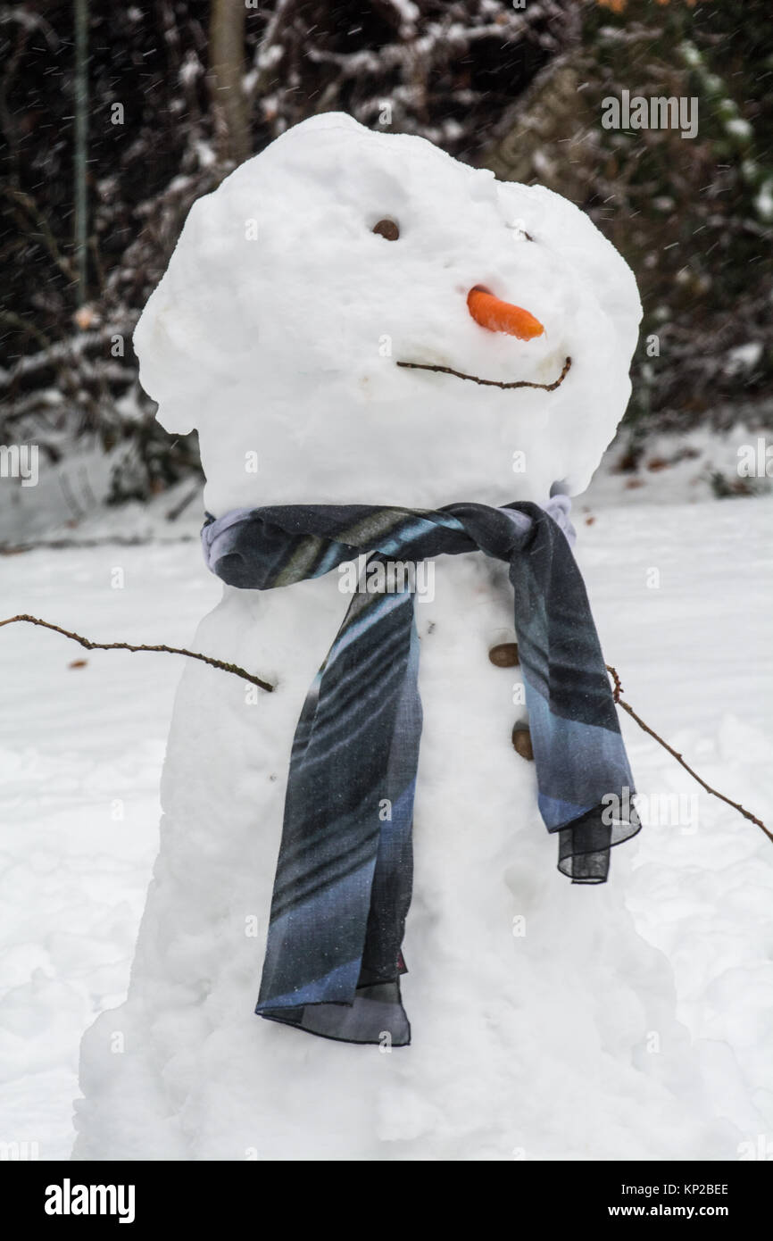 Snowman in the garden with snow falling around Stock Photo - Alamy
