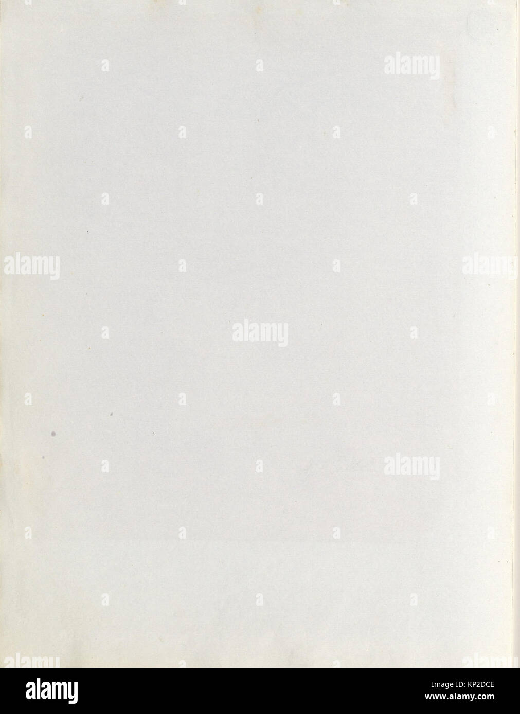 Photogenic drawing hi-res stock photography and images - Alamy