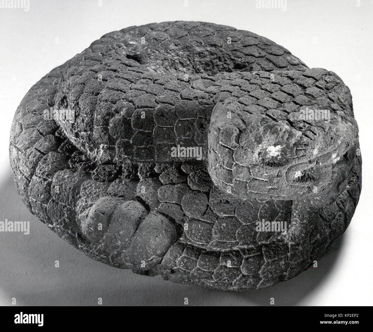 Coiled Serpent MET vs00 5 11 307607 Stock Photo - Alamy