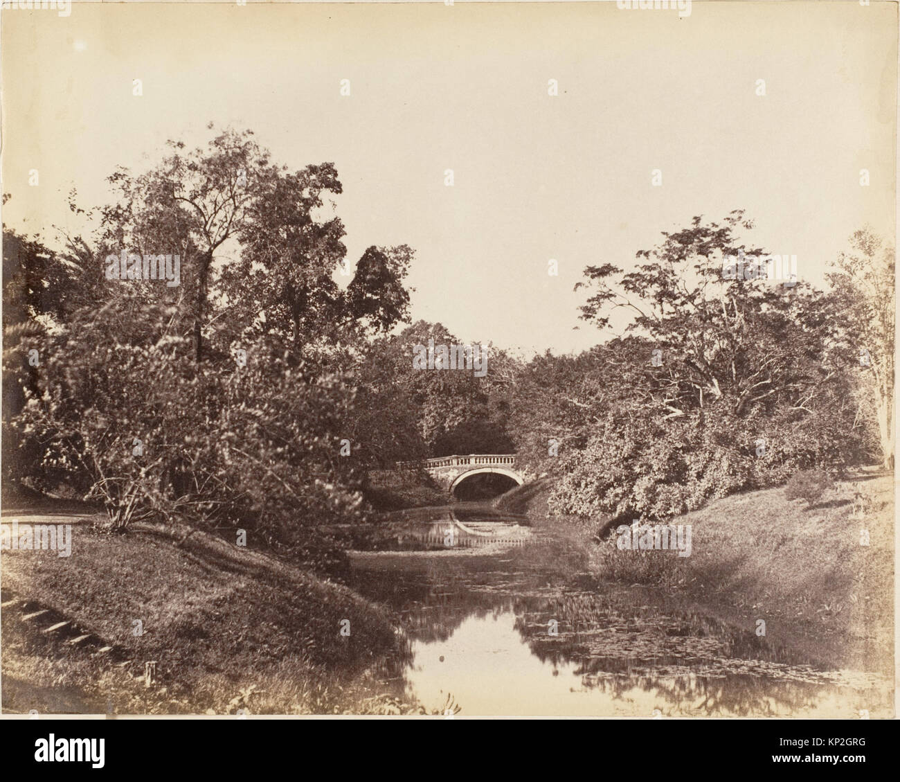 The Botanical Gardens in Calcutta features diverse plant species ...