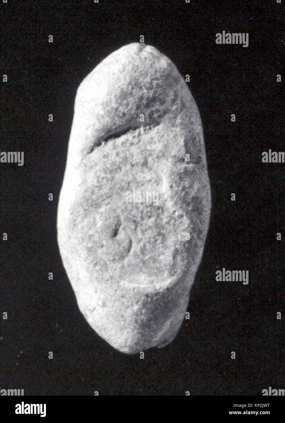 An almond-shaped sealing from the MET featuring three circular seal ...