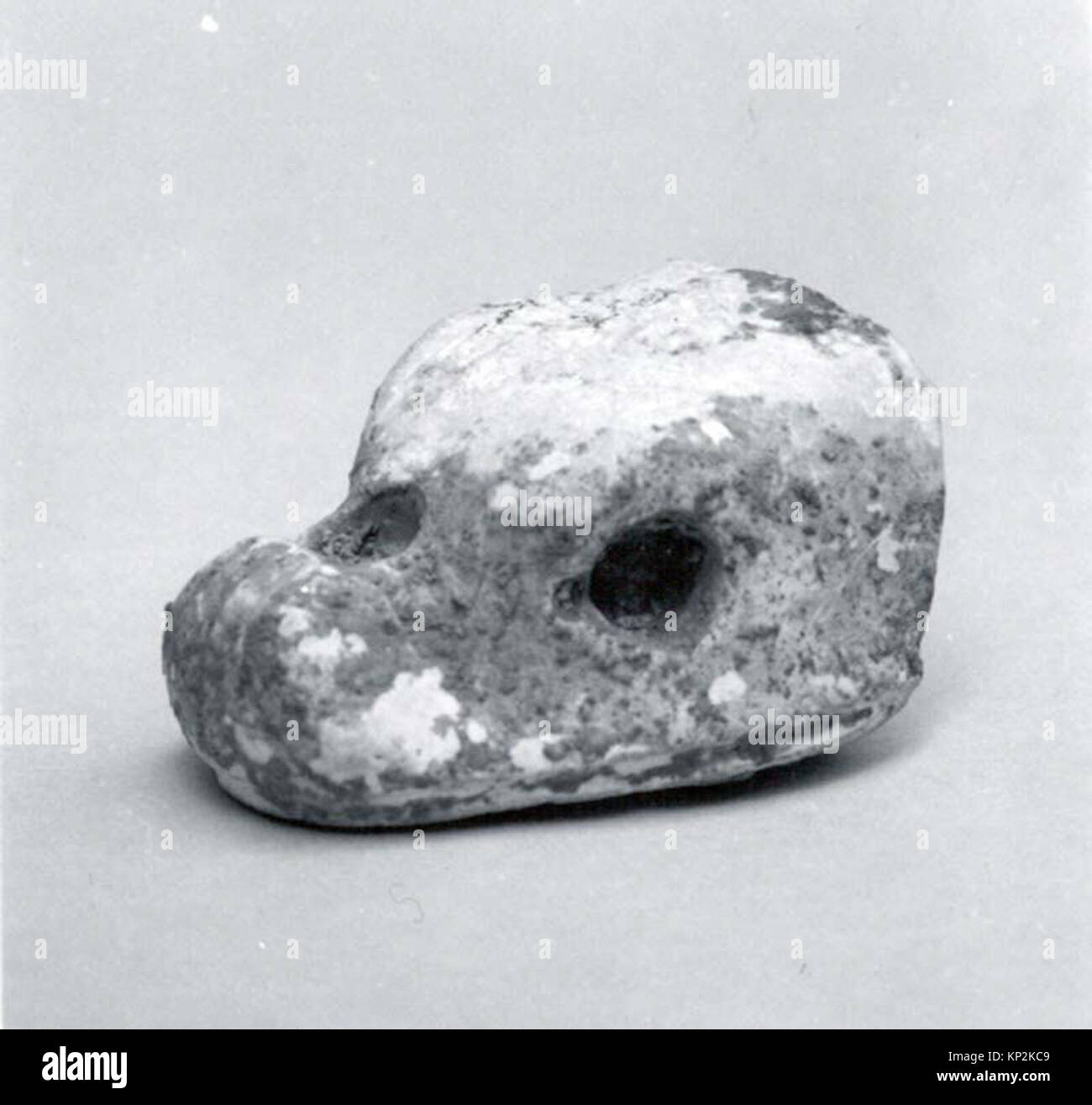 Head of a mushhushshu, an ancient Mesopotamian mythological serpent ...
