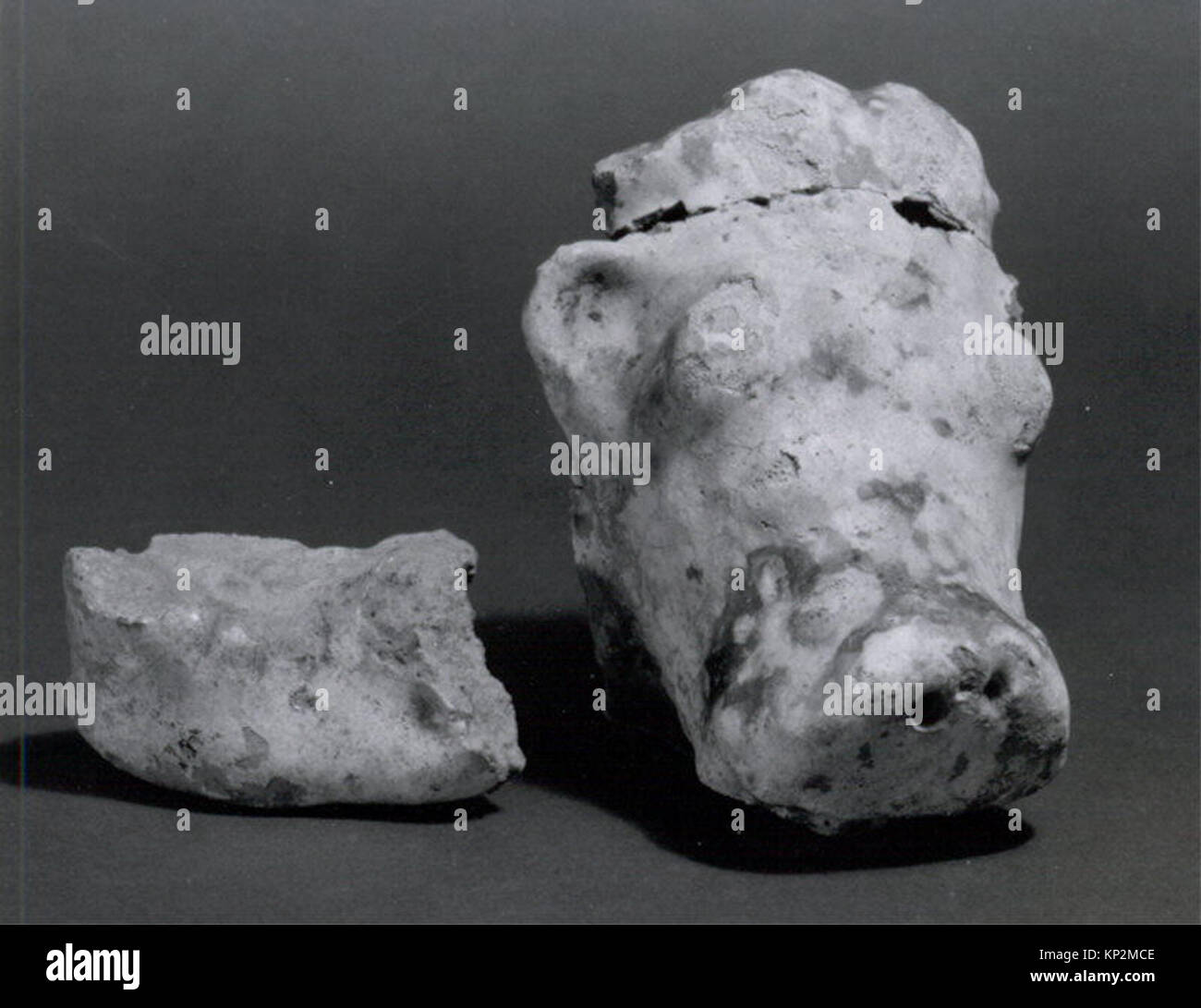 Head of bull MET ME65 163 66 325795 Stock Photo - Alamy