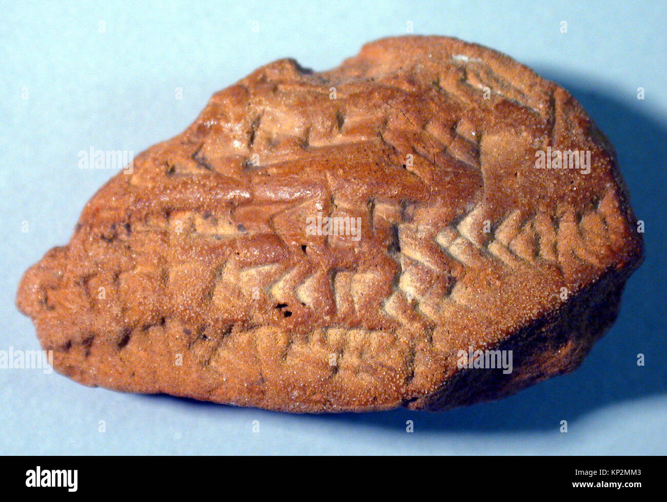 This fragment of a cuneiform tablet from the MET illustrates a contract ...