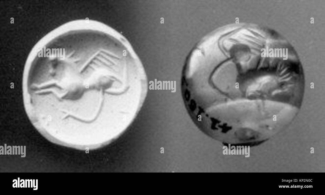 Hemispheroid seal hi-res stock photography and images - Alamy