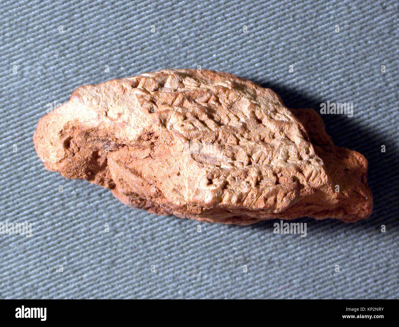 MET cuneiform tablet vs86 11 446c 322061 preserves a fragment of an ...