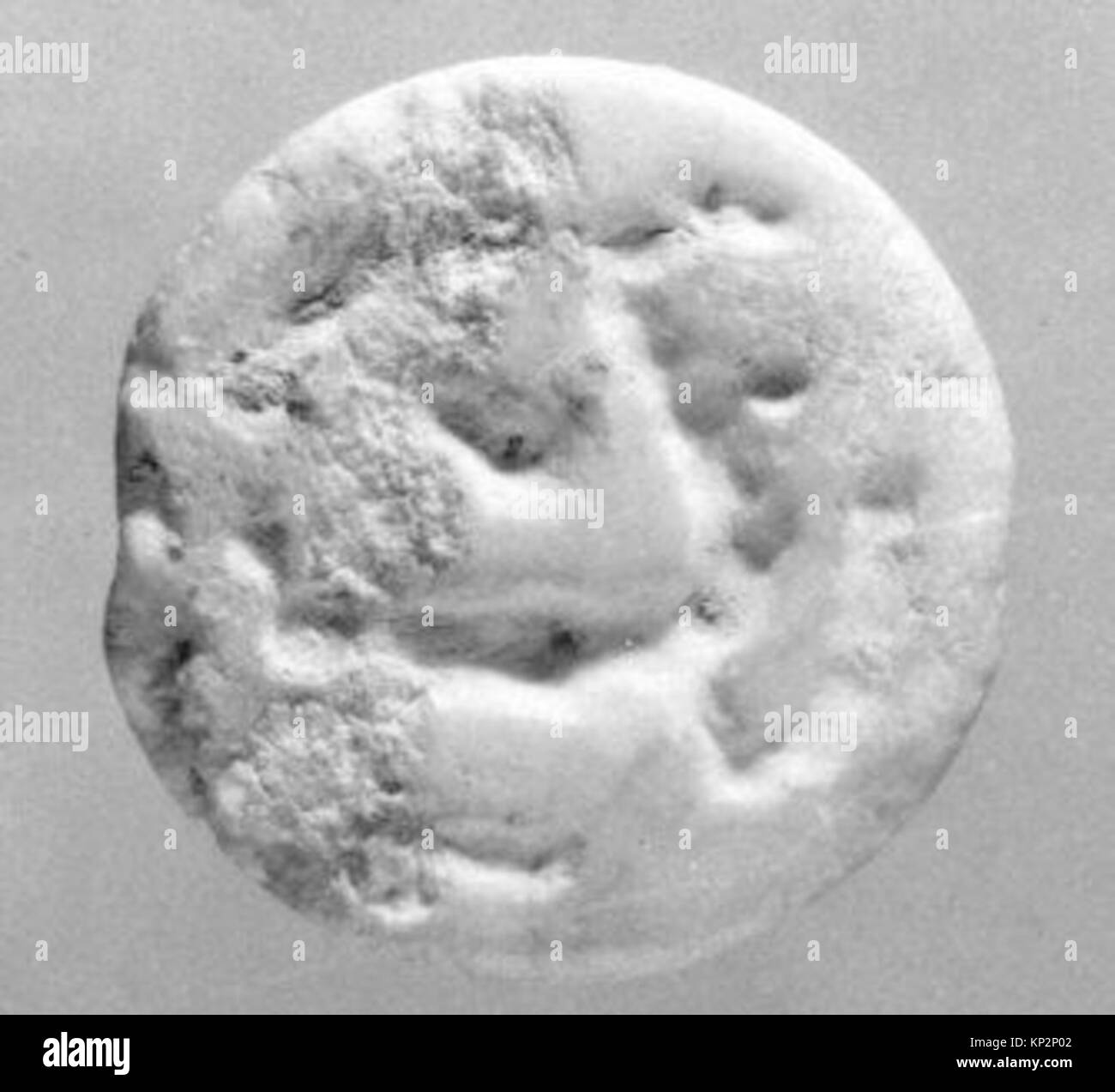 An ancient drilled oval hemispheroid seal from the Metropolitan Museum ...