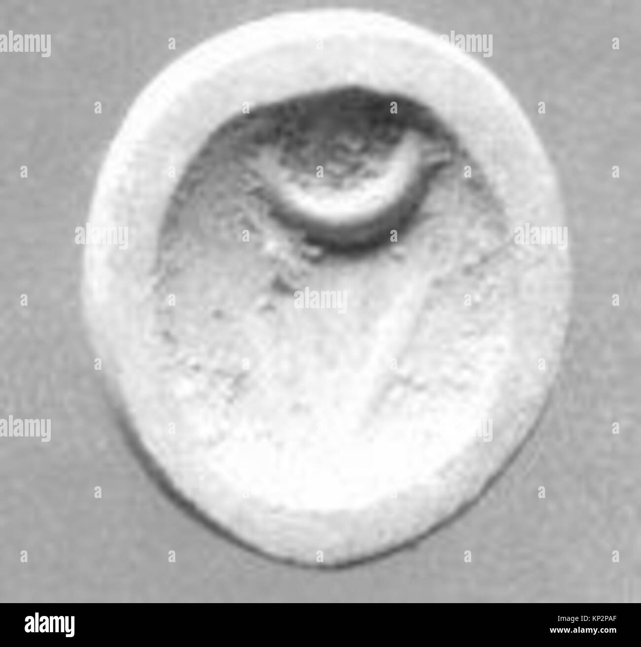 Conoid Black and White Stock Photos & Images - Alamy