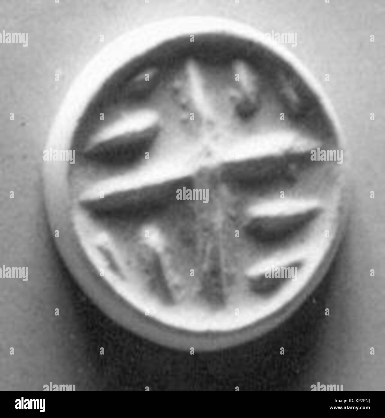 Hemispheroid seal hi-res stock photography and images - Alamy